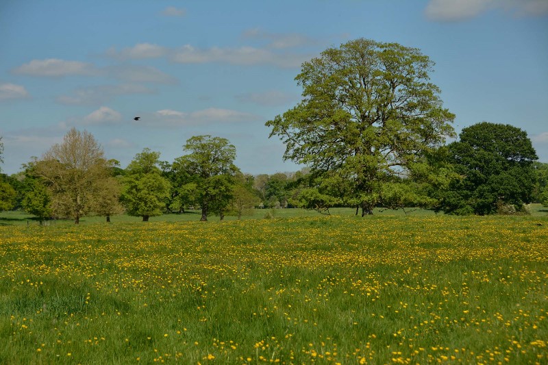 Home Farm Attingham - Shropshire Tourism & Leisure Guide