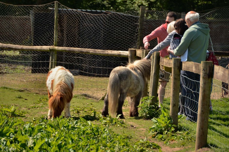 Home Farm Attingham - Shropshire Tourism & Leisure Guide