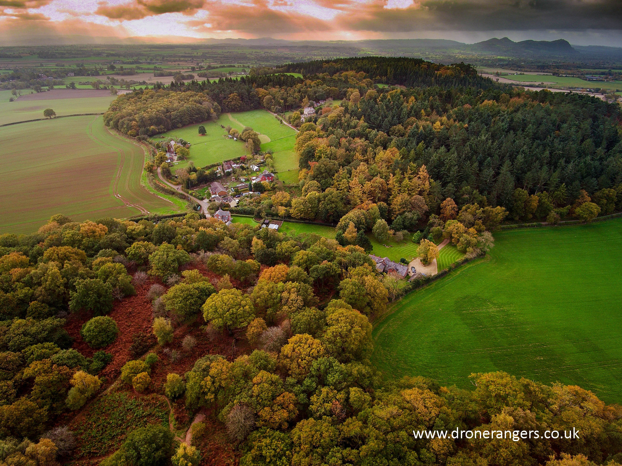 Nesscliffe Hills and the Cliffe - Shropshire Tourism & Leisure Guide