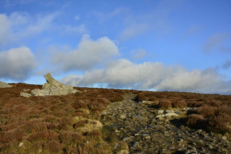 Stiperstones National Nature Reserve - Shropshire Tourism & Leisure Guide