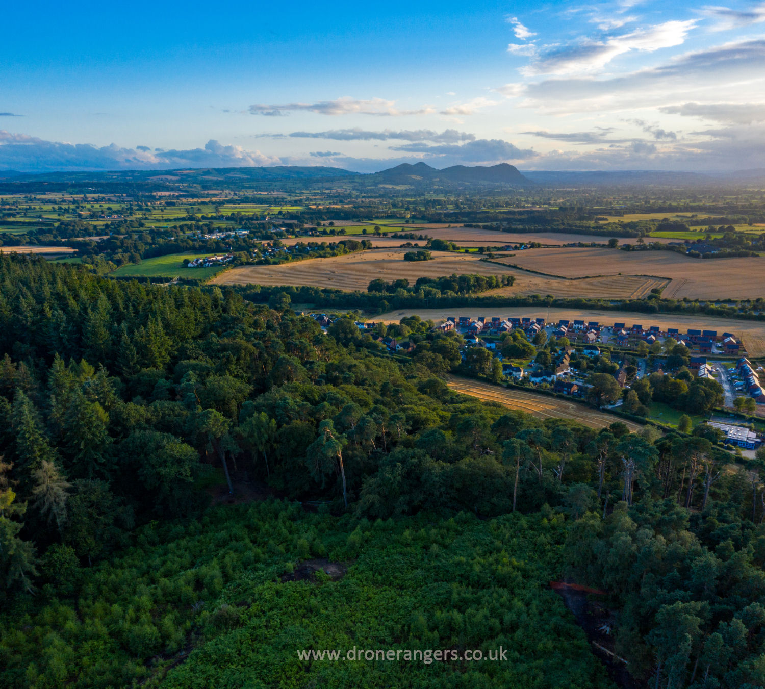 Nesscliffe Hills and the Cliffe Countryside Heritage Site - Shropshire ...